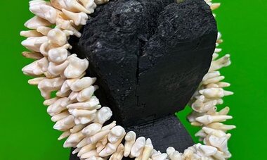 Alexander Lee - visual artist | Air Tahiti Nui