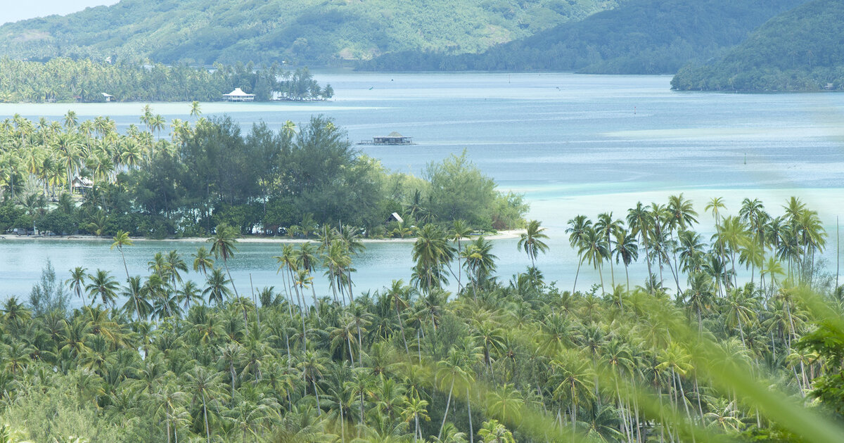 What to do on Huahine, the Secret Island | Air Tahiti Nui